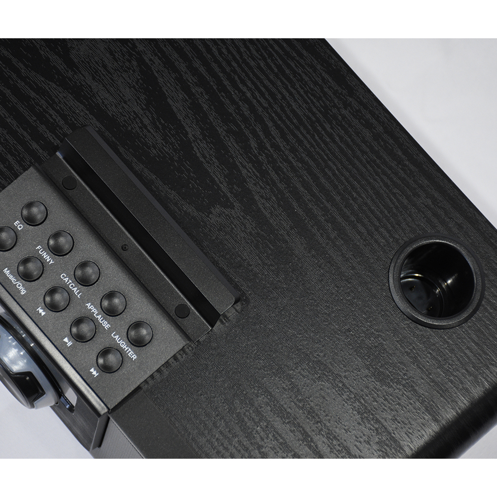 【一鍵去人聲】SDRD 無線雙麥藍芽K歌音響 | SV音樂商城